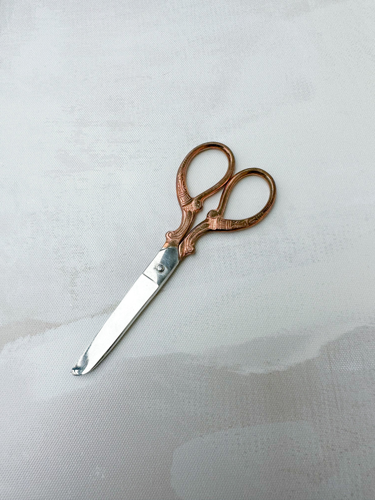 Heritage Scissors – Moorea Seal